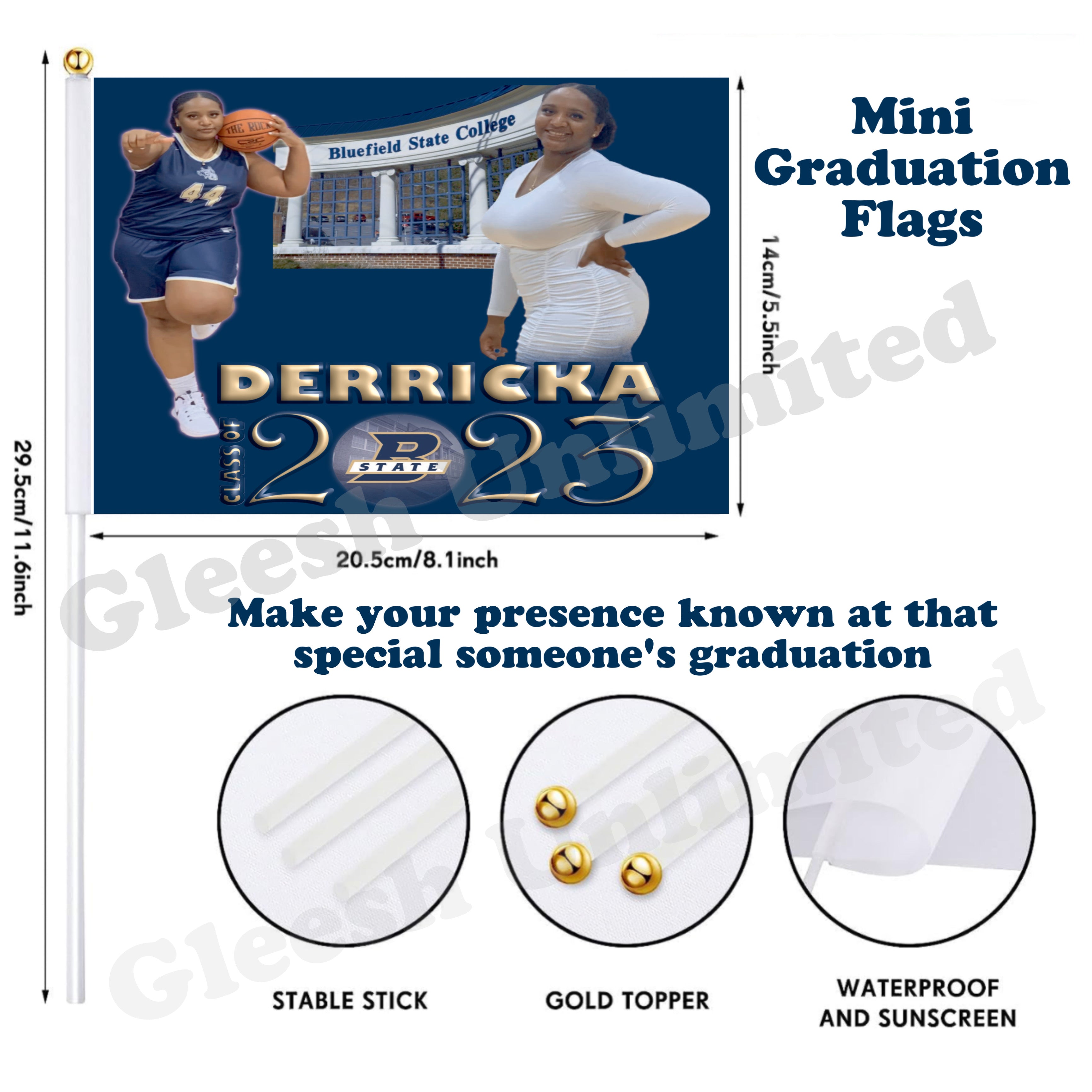 Custom Mini Flag Banner – GLEESH Unlimited LLC